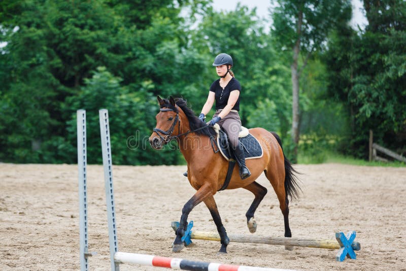 Horse Rider is Training in the Arena Stock Image - Image of equestrian ...