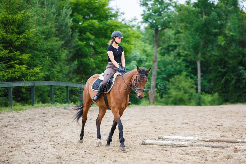 Horse Rider is Training in the Arena Stock Image - Image of equestrian ...