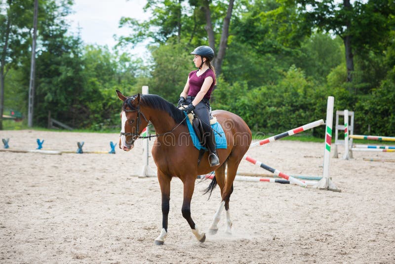 Horse Rider is Training in the Arena Stock Image - Image of competition ...