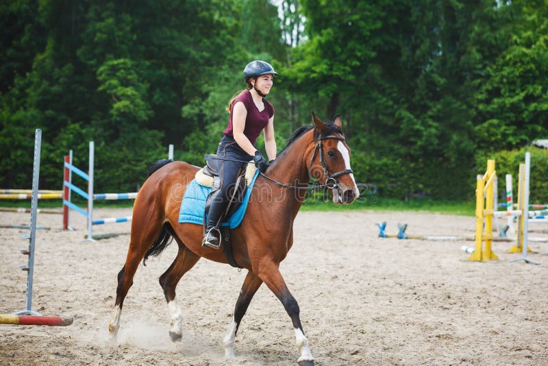 Horse Rider is Training in the Arena Stock Photo - Image of brown ...