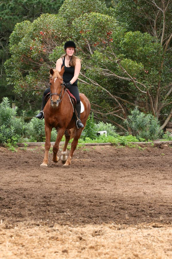 Horse Riding stock image. Image of tame, farm, wildlife - 11048927