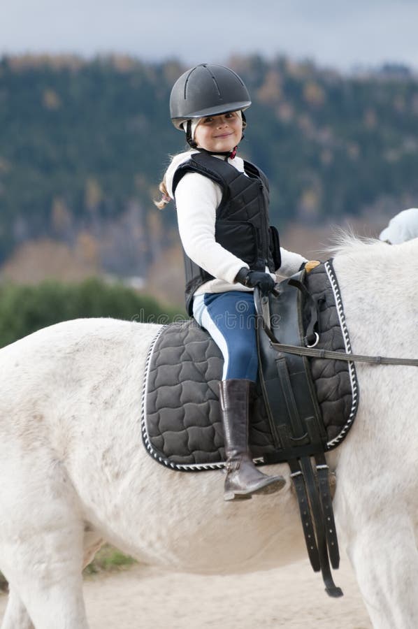 Horse riding stock photo. Image of equestrian, farm, bridle - 10351540