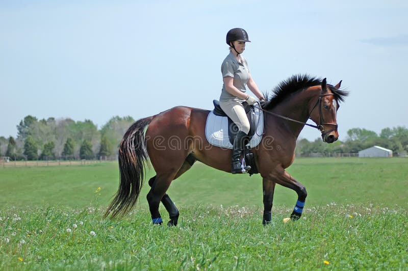 Horse saddle stock photo. Image of aged, grunge, fence - 49973364