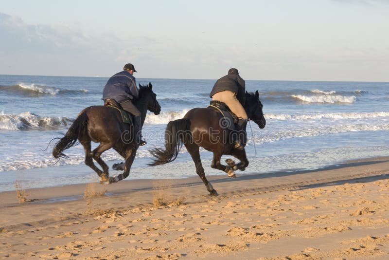 Horse riding in sea stock image. Image of splash, airboune - 5120681