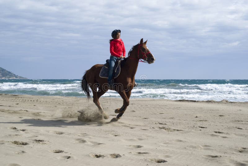 Horse riding on the beach editorial image. Image of hoofed - 16440155