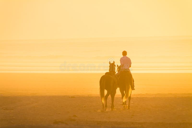 Horse Riding on the Beach at Sunset. Stock Photo - Image of lifestyle ...