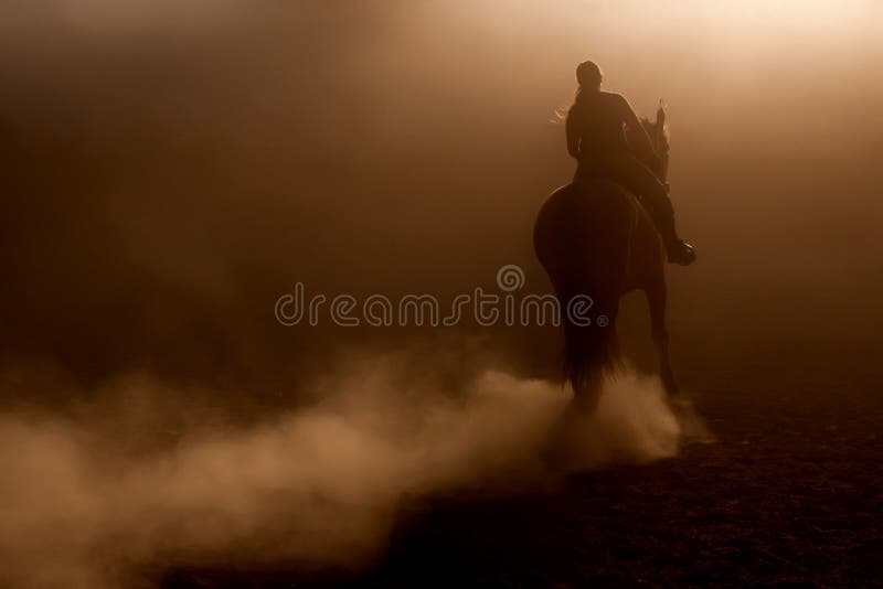 Horse and stable stock photo. Image of domestic, haze, dressage - 487468