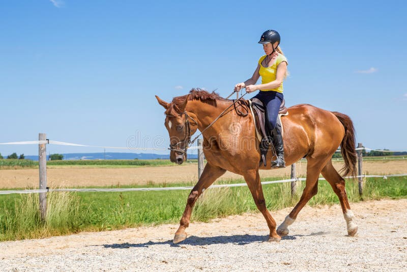 Horse riding on a field stock image. Image of gallop - 75874389