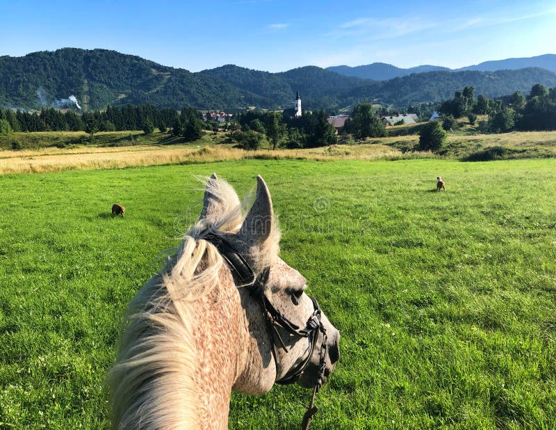 Horse riding stock image. Image of riding, horse, mountains - 173375935