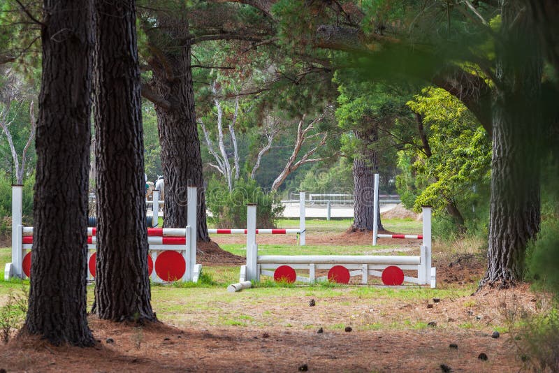 Horse Riding Obstacle Course Stock Image - Image of racehorse, jumping ...