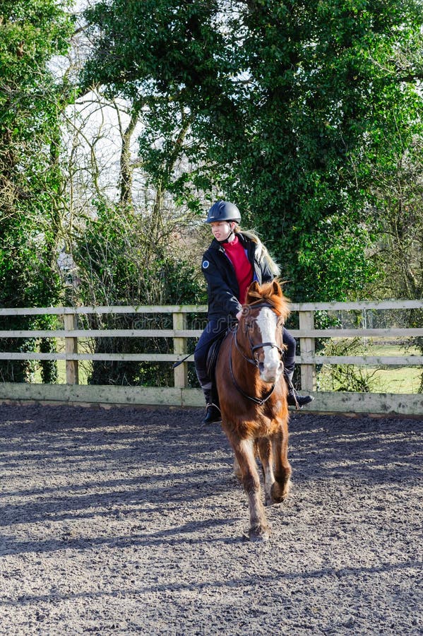 Horse riding at paddock stock image. Image of farm, active - 60727077