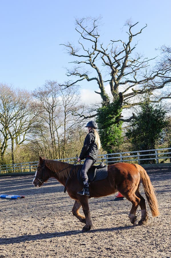 Horse riding at paddock stock image. Image of equine - 60727969