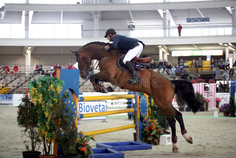 Horse riding race editorial photo. Image of horse, active - 4385381