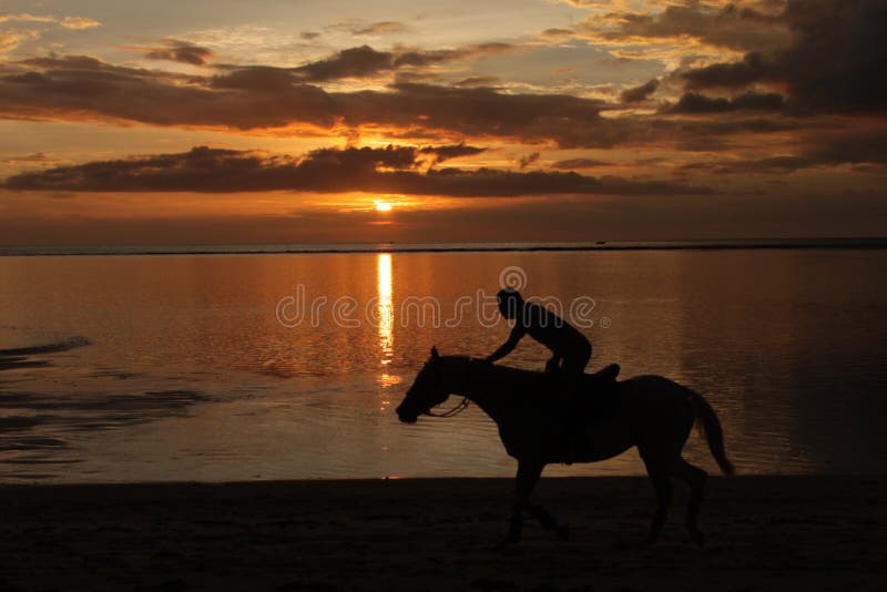 39+ Riding sunset horse Free Stock Photos - StockFreeImages