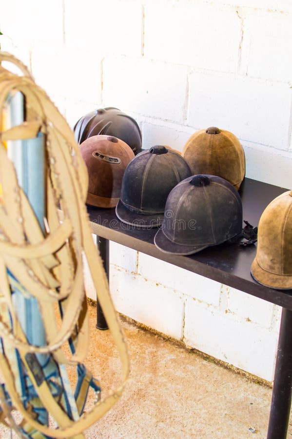 Horse riding theme stock image. Image of country, paddock - 38933631