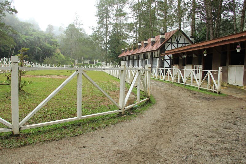 Horse riding track stock image. Image of white, domestic - 18889611