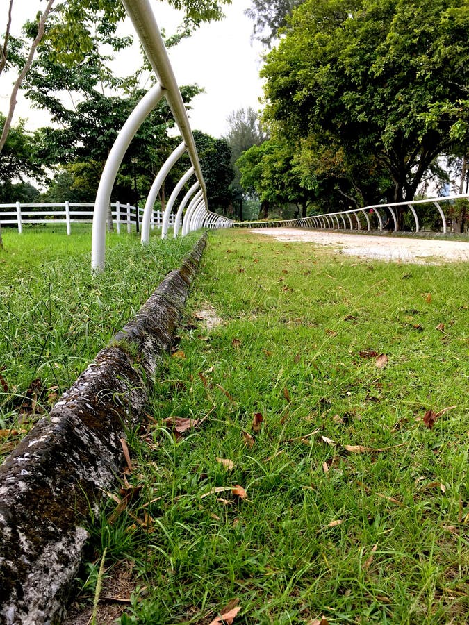 Horse Riding Track with White Trails Stock Image - Image of trail, dirt ...
