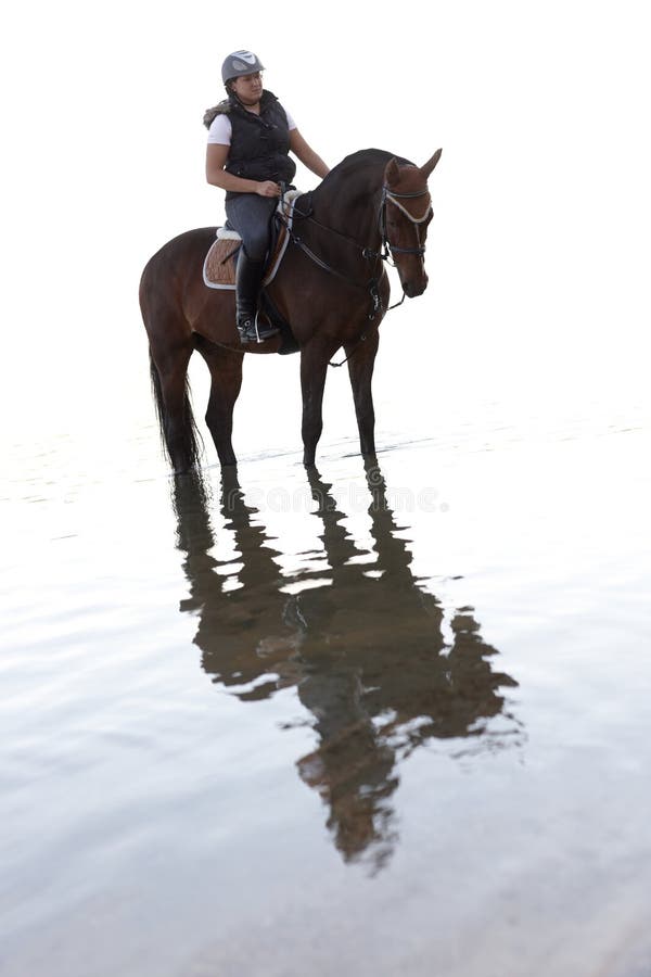 Horseback Riding in the River Stock Photo - Image of outdoor, alone ...