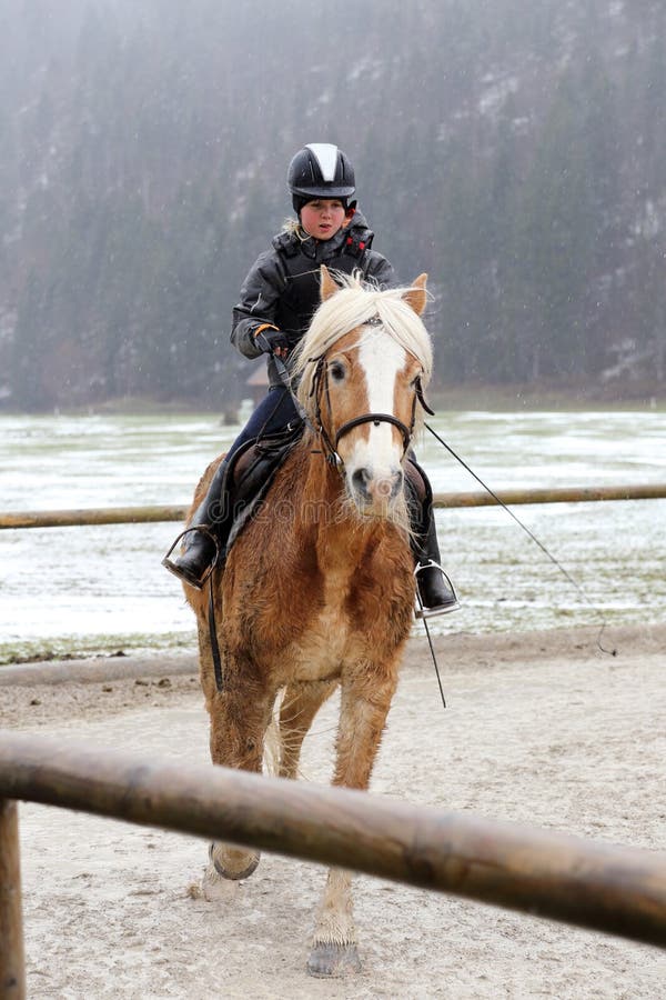 Horse riding in winter stock photo. Image of happy, active - 58462426