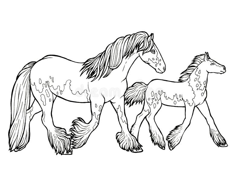 Horse Runs Trot. Coloring Book. the Horse Runs Trot. Coloring Book ...