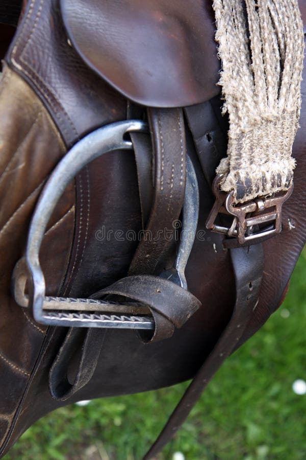 Bull Rider stock photo. Image of action, close, horse, competition - 347696