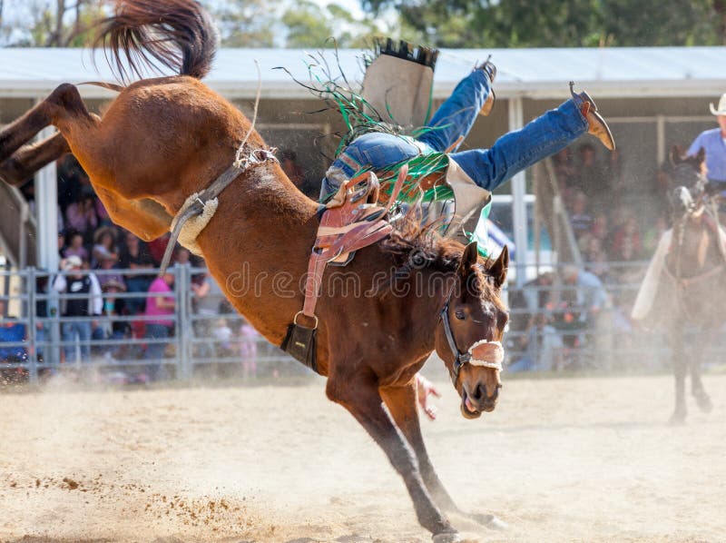 Rodeo stock image. Image of jeans, lifestyle, dangerous - 172455887