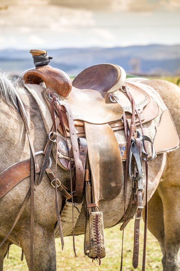 Horse saddle on the ranch stock photo. Image of horse - 57644180