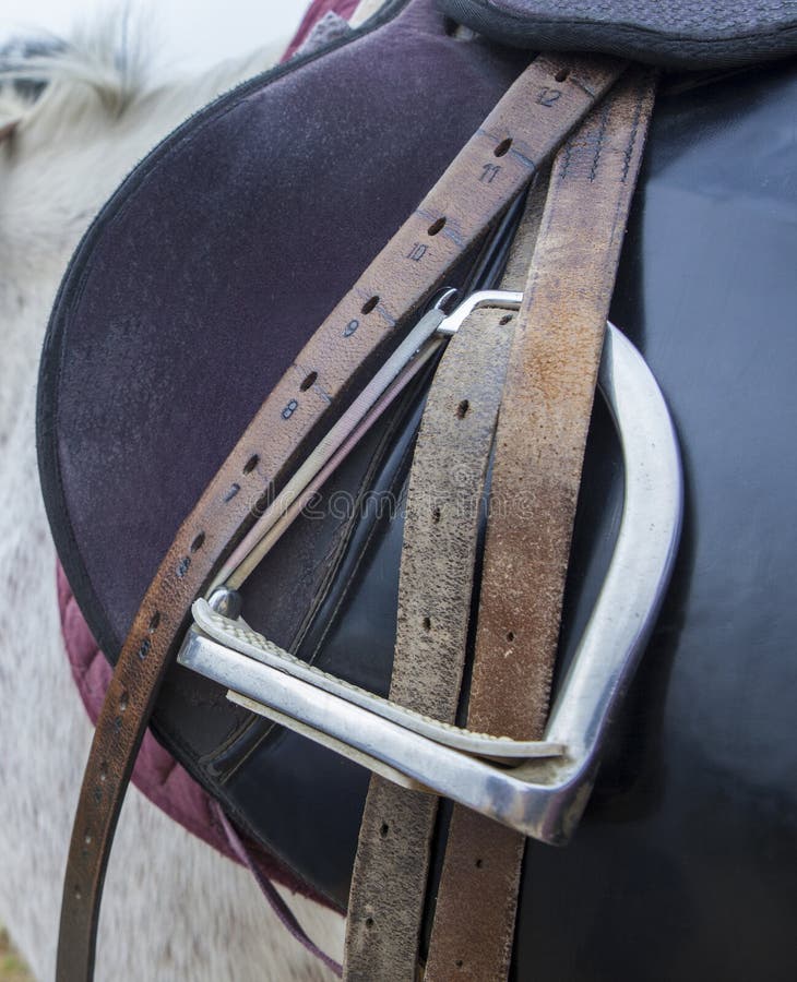 Horse with saddle on stock image. Image of holes, goods - 275280007