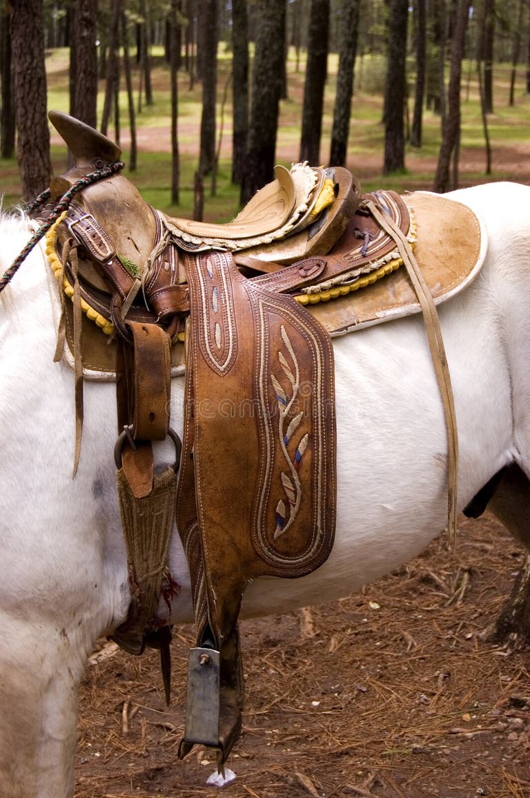 210 Mexican Saddle Stock Photos - Free & Royalty-Free Stock Photos from ...
