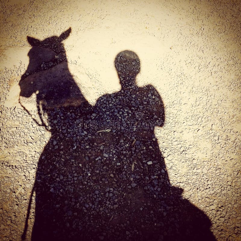 A horse ride and shadow stock photo. Image of childhood - 87809890