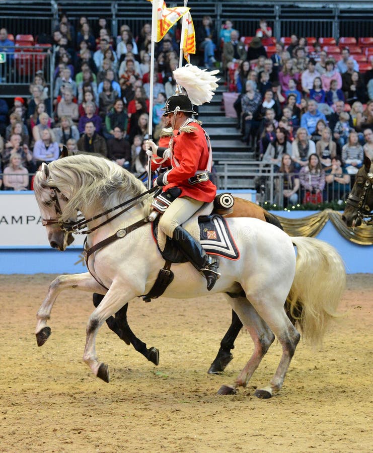 Horse show editorial image. Image of show, race, rein - 28781965