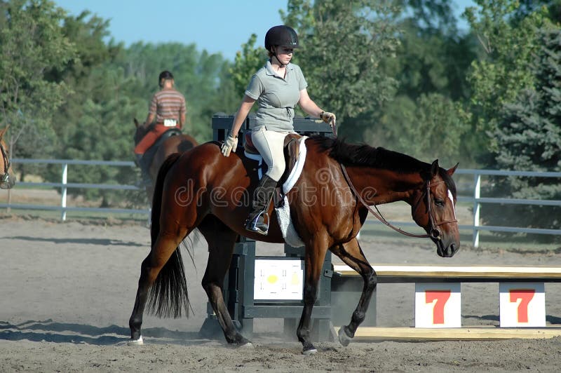 Horse show stock image. Image of petting, tender, woman - 2975517