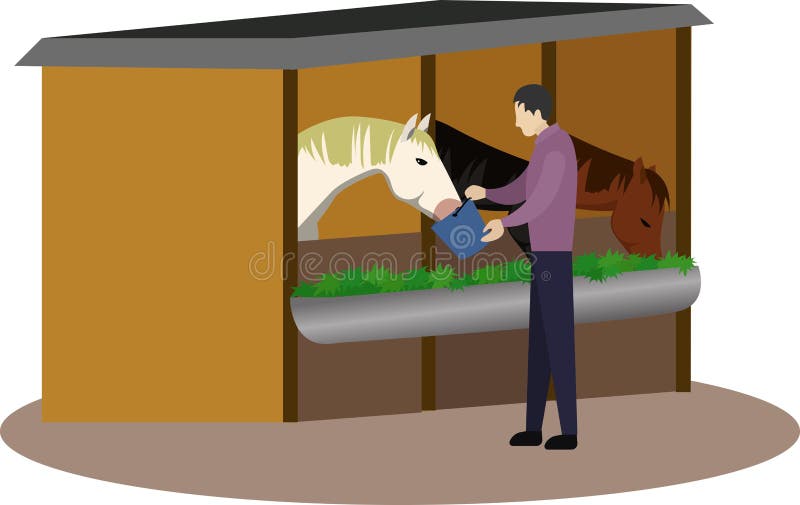 Side View of a Farmer Holding Bucket and Feeding a Horse in Stable ...