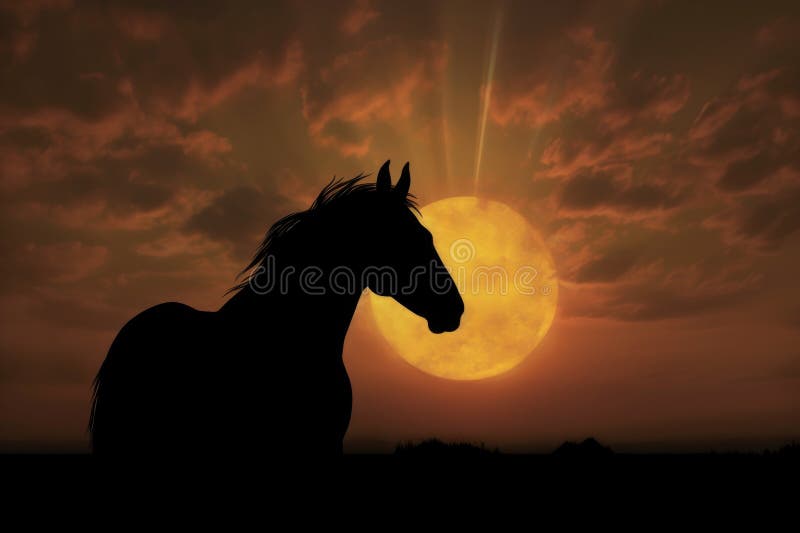 Horse Silhouette Against Stunning Solar Eclipse Sky Stock Illustration ...