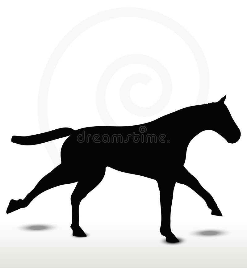 Running Colt Silhouette Stock Illustrations – 173 Running Colt ...