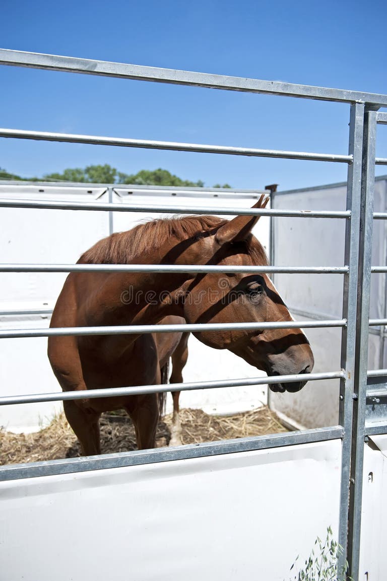 418 Construction Horse Stable Stock Photos - Free & Royalty-Free Stock ...