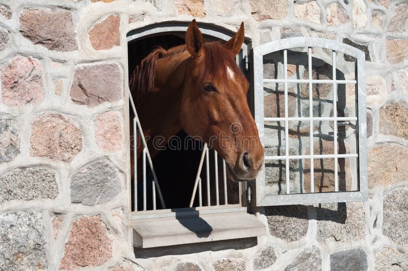 Horse stable Blue Hors editorial photography. Image of farm - 24027947