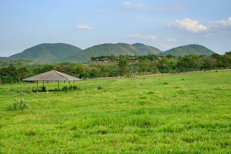 Horse Stable in Front of Hills Stock Photo - Image of green, mountains ...