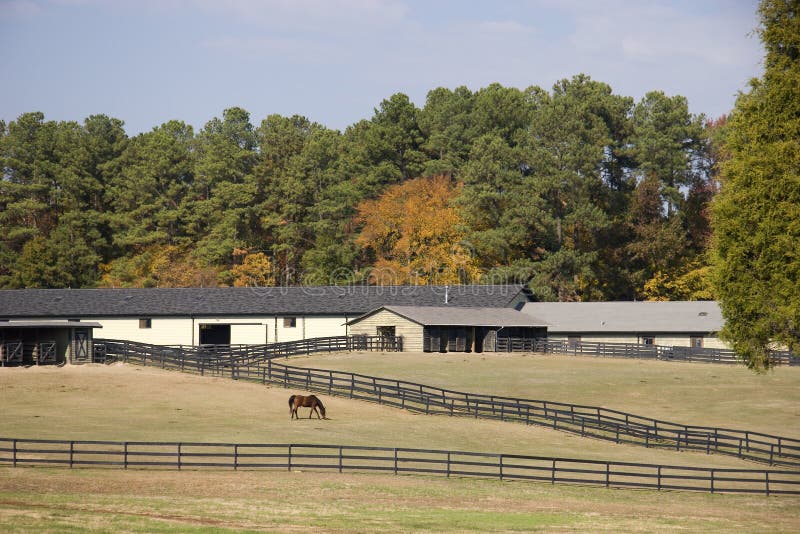 Horse Stables stock photo. Image of horses, field, barn - 4520524