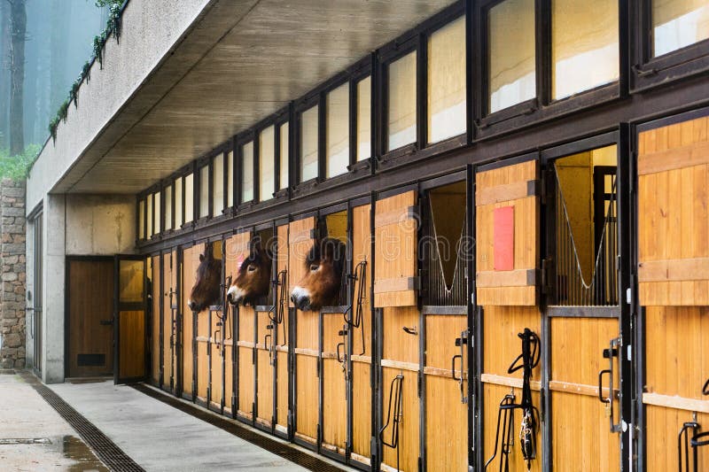 Horse stables modern stock photo. Image of animal, draught - 65522276