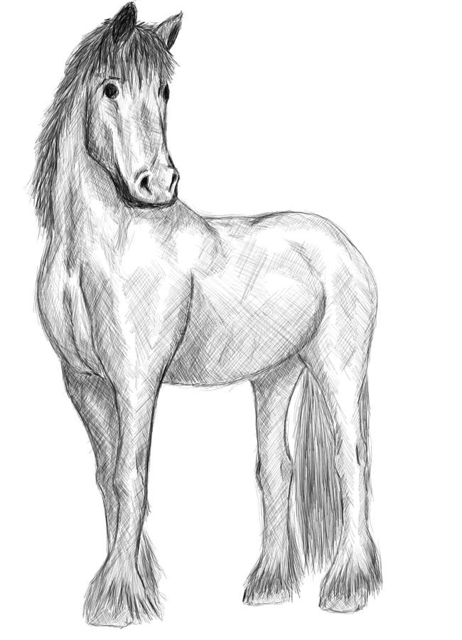 How To Draw A Horse Standing