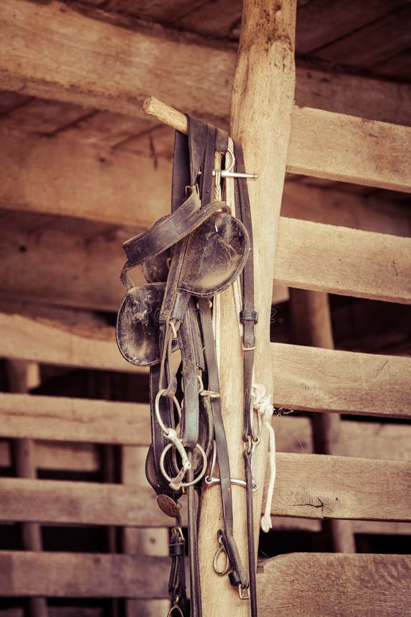Horse Tack Items stock image. Image of gear, wood, horse - 78078743