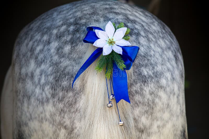 Horse tail decoration stock image. Image of blue, bright - 83331603