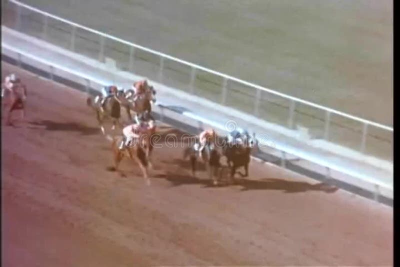 Horse Stock Footage & Videos - 59,473 Stock Videos