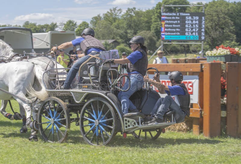 Horse Team at a Competition in Nature Editorial Photo - Image of animal ...