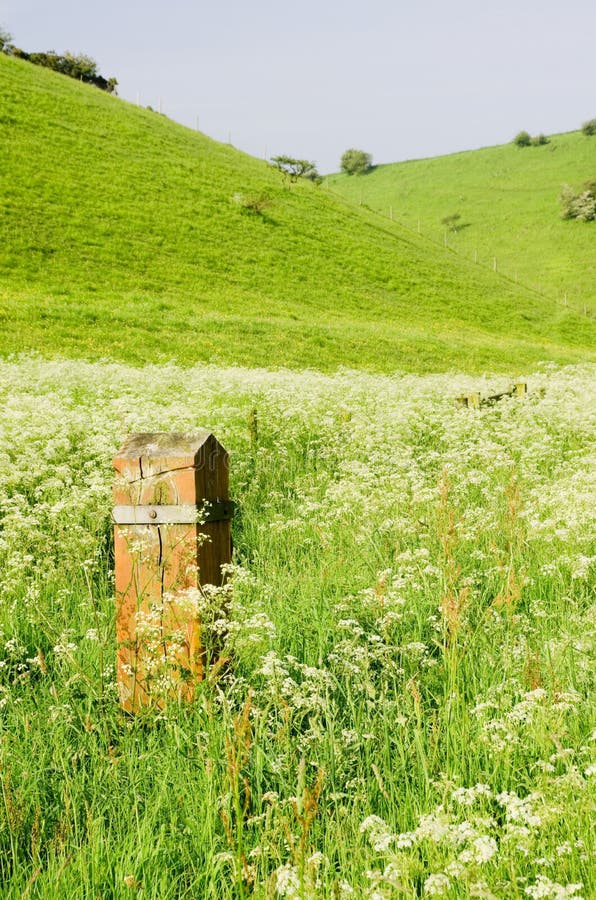 Horse Tethering Post stock photo. Image of valley, unused - 41177952