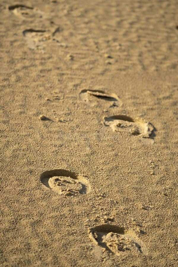 Horse Tracks in the Sand stock image. Image of path - 387597787