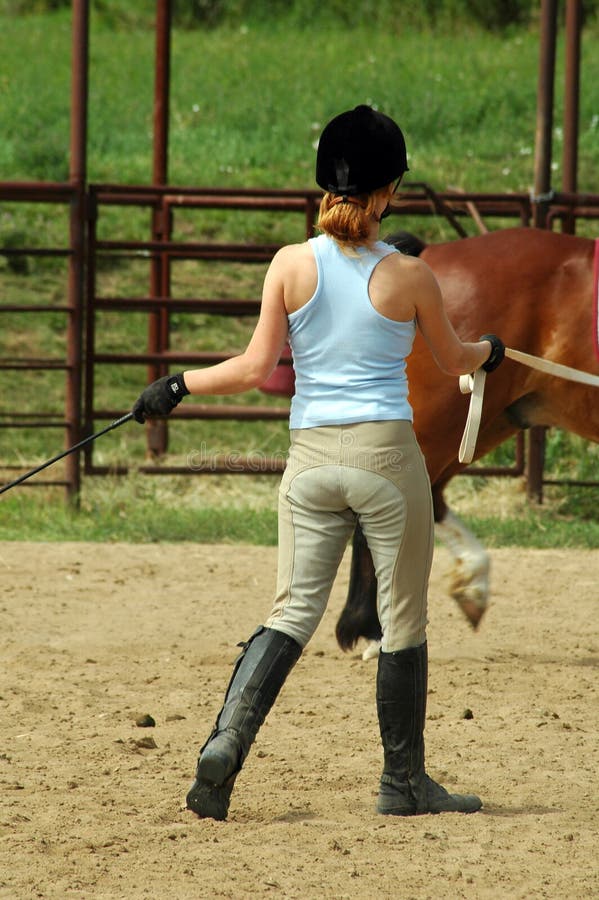 Horse Trainer stock photo. Image of horse, lunge, work - 2693780