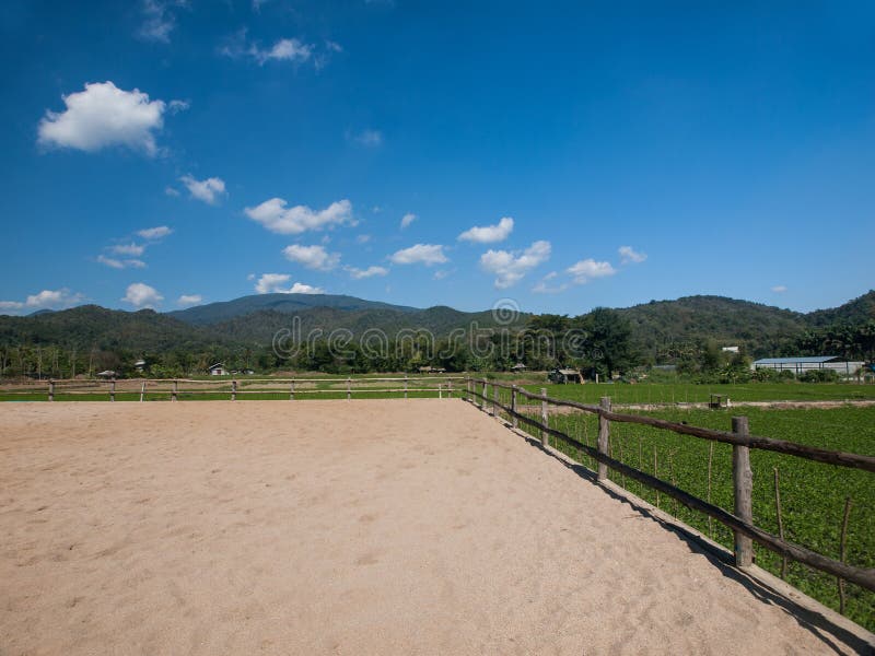 Horse training ground stock photo. Image of scenery, park - 92413576