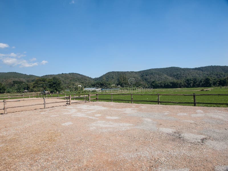Horse training ground stock photo. Image of stalls, plot - 93051656